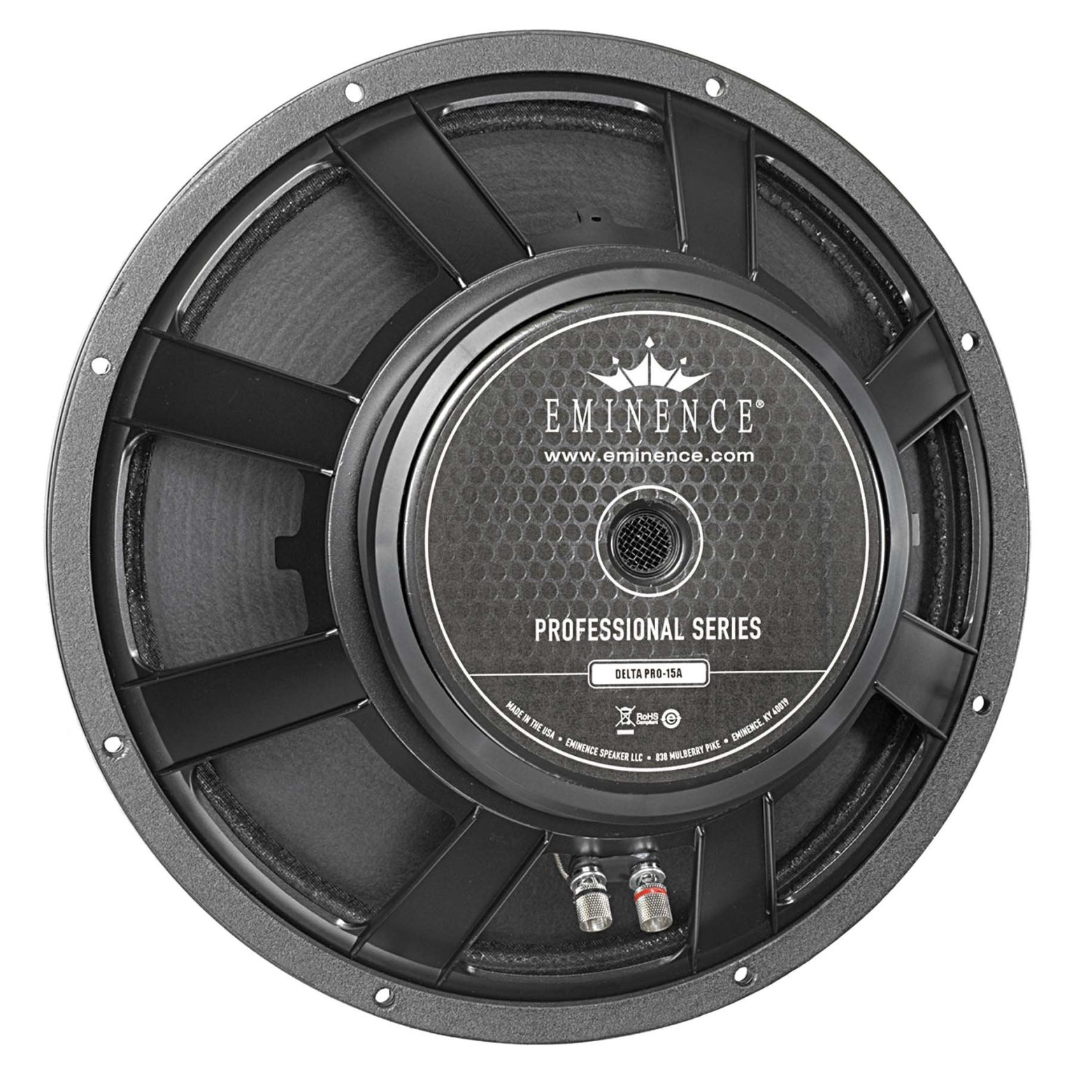 DELTA PRO 15A 15" Professional Series Speaker - Dhoom Audio